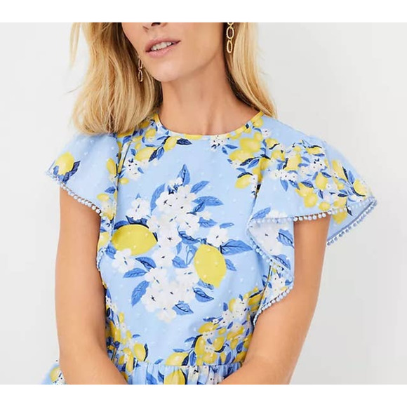 Ann Taylor | Dresses | Nwt Ann Taylor Blue Yellow Lemon Swiss Dot ...